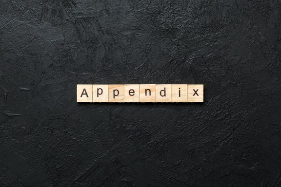 Appendix Word Written on Wood Block. Appendix Text on Table, Concept ...