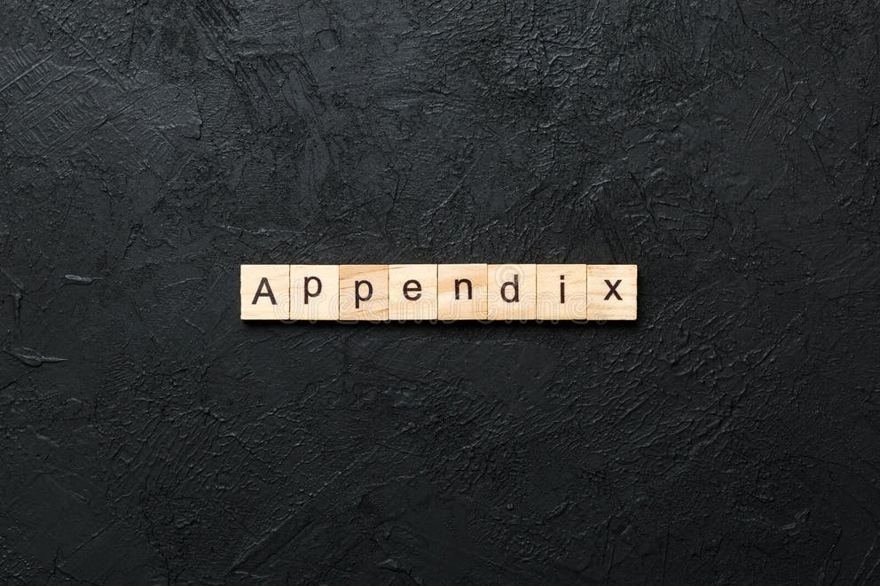 Appendix Word Written on Wood Block. Appendix Text on Table, Concept ...