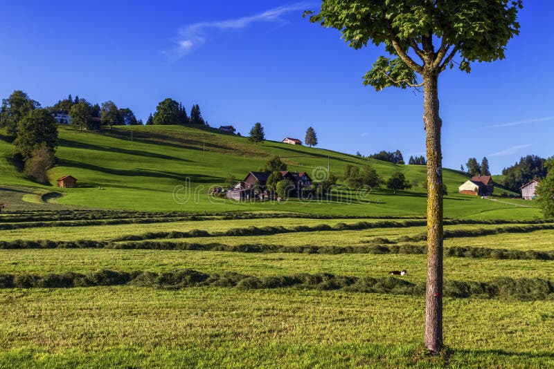 Appenzell-Landschaft, Die Schweiz Stockfoto - Bild von dekoration ...