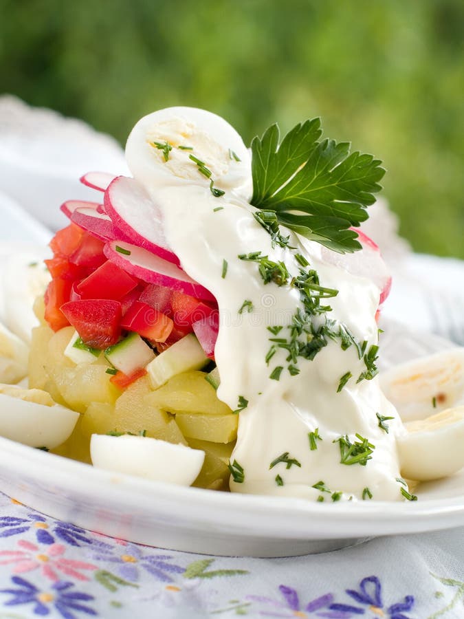 Appetizer stock photo. Image of cucumber, radish, plate - 21481972