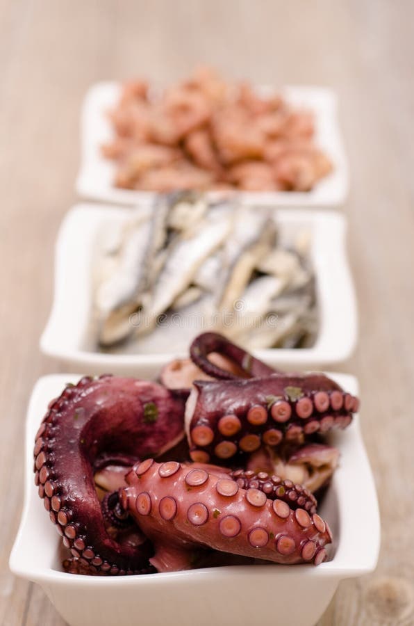Appetizer octopus stock image. Image of squid, common - 34269989