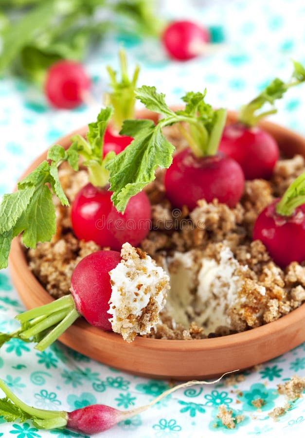 Appetizer with Radish and Cream Cheese Stock Image - Image of cream ...