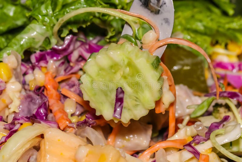 Appetizer salad stock photo. Image of leaf, diet, food - 83362156