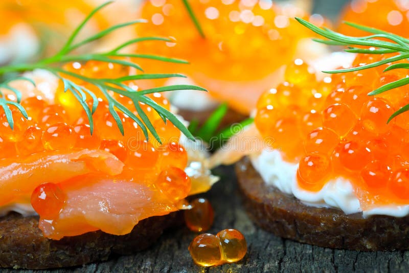 Appetizer with Salmon and Caviar Stock Photo - Image of garnished ...