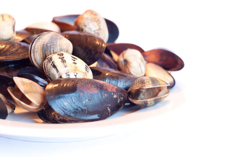 Appetizer Seashell Close-up Stock Photo - Image of cook, healthy: 27812512