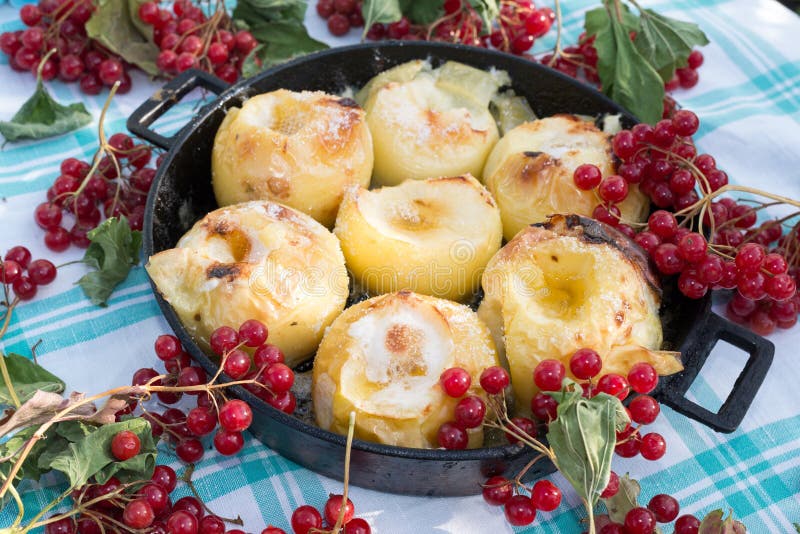 Appetizing Baked Apples with Fresh Kalina Stock Image - Image of food ...