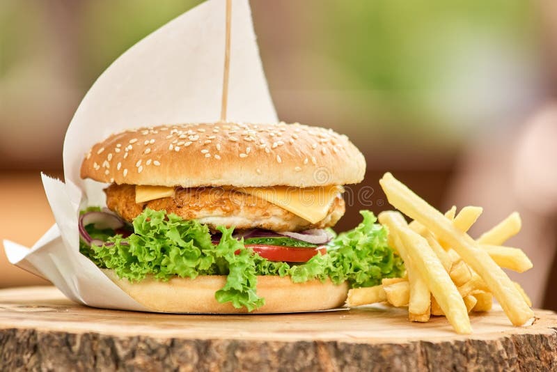 Appetizing Burger with a Few Fries. Stock Image - Image of delicious ...
