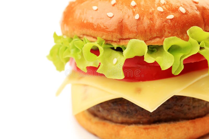 Burger stock photo. Image of burger, tasty, meal, sesame - 26207882
