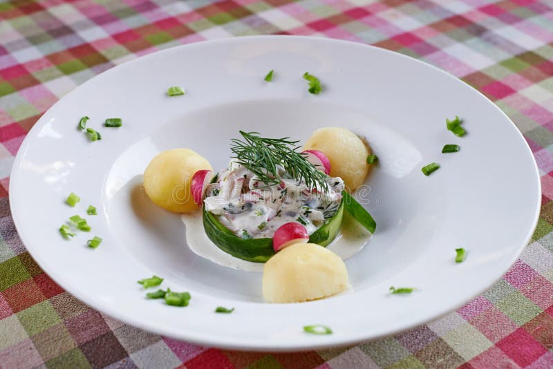 Appetizing Dish in Culinary Art Stock Photo - Image of checkered ...