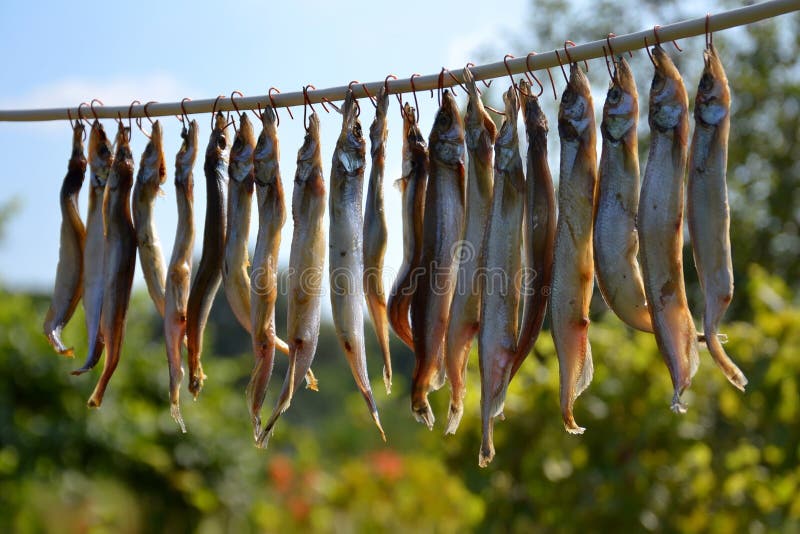 Appetizing Dried Fish on a Background of Blue Sky Stock Image - Image ...