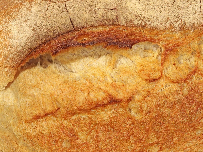 Appetizing Fresh Bread Crust. Stock Image - Image of healthy, groceries ...
