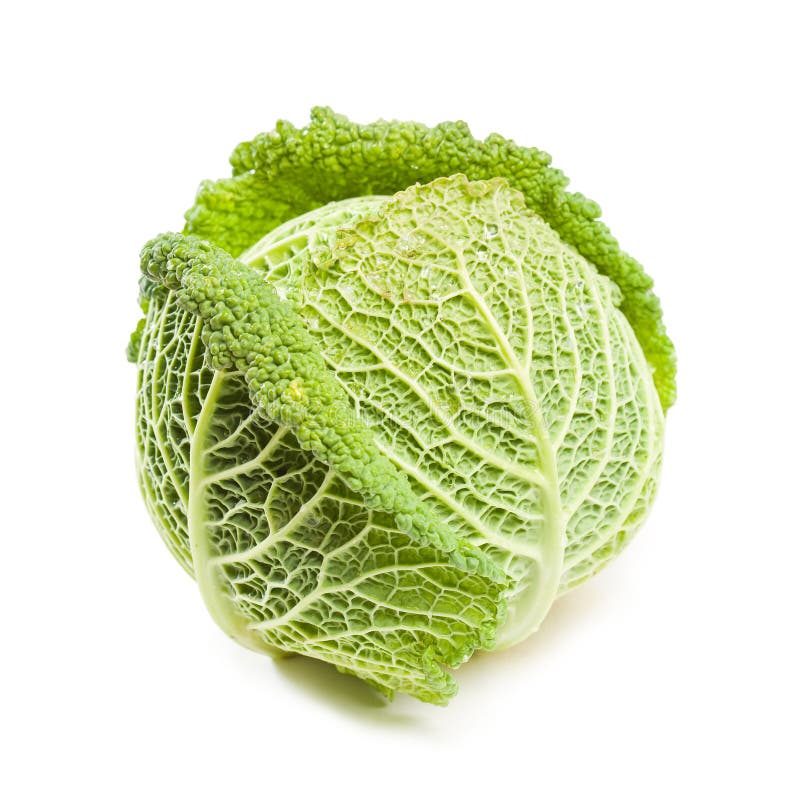 Appetizing fresh cabbage. stock photo. Image of nutrition - 28079446