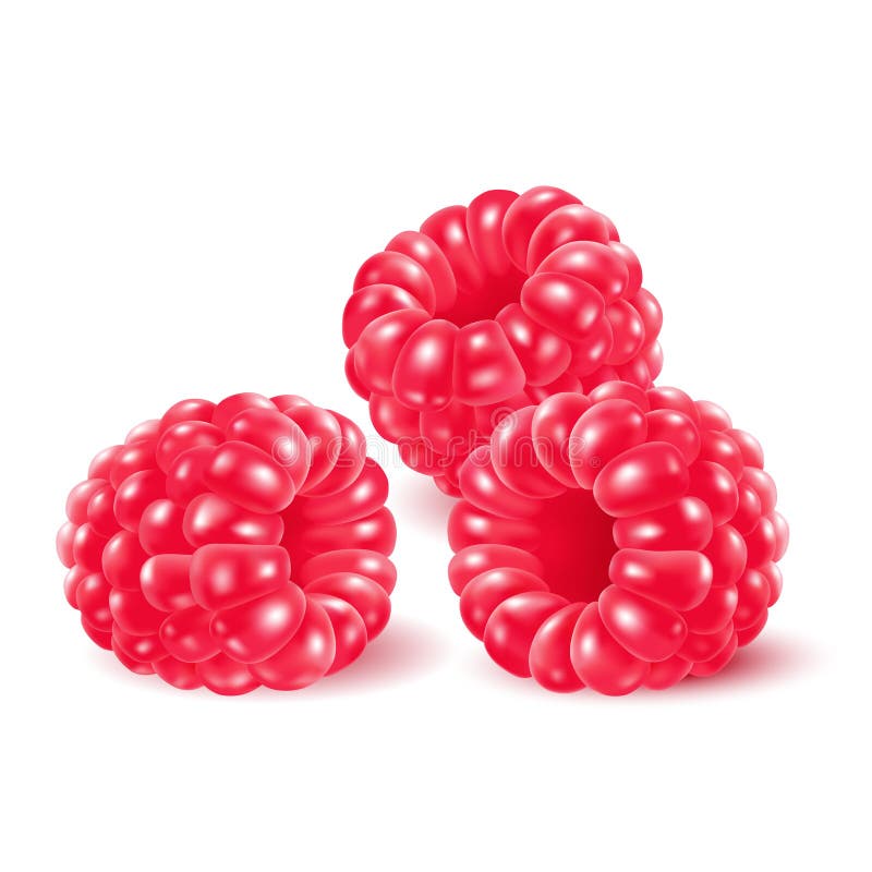 Appetizing Fresh Raspberry on White Background. Realistic Image of ...