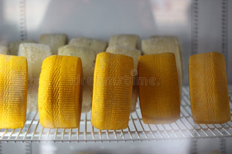 Appetizing Heads of Ripe Cheese of Two Types Lying on the Shelf Stock ...