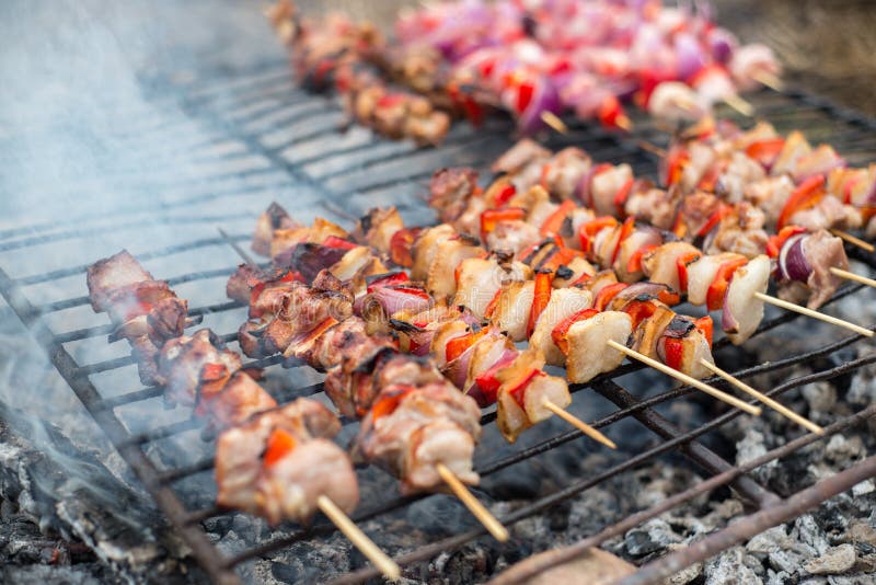 Appetizing Meat on a Barbecue Stock Photo - Image of picnic, outdoor ...