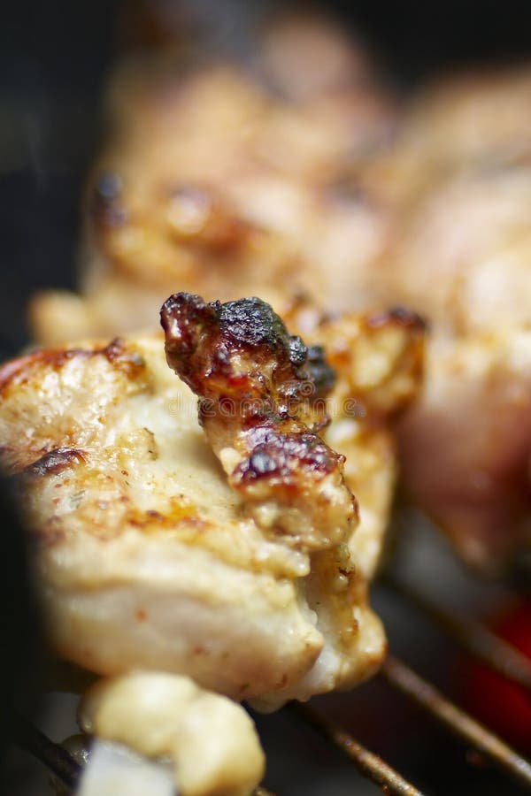 Appetizing pork-grill stock image. Image of piece, appetite - 5525455