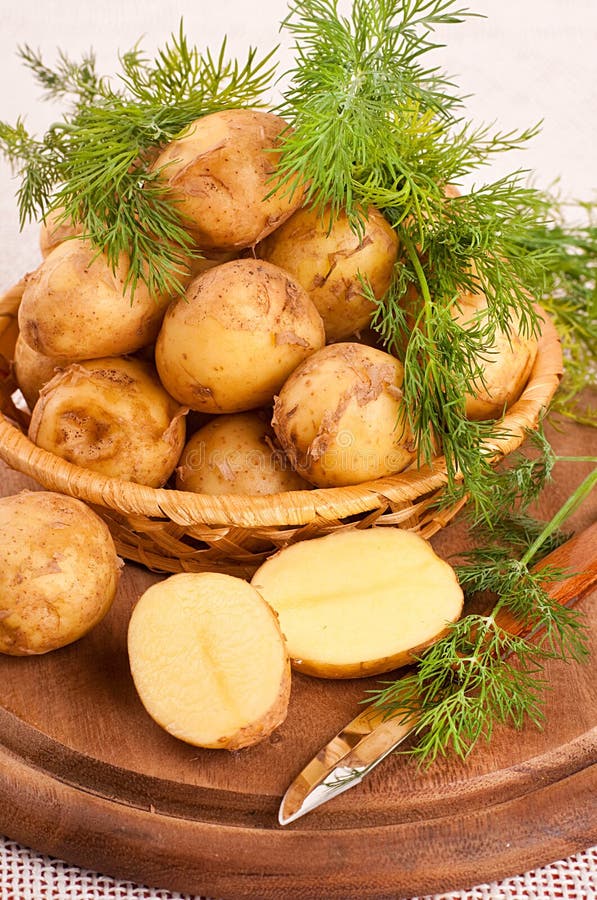 Appetizing potato in a pot stock photo. Image of closeup - 31647148
