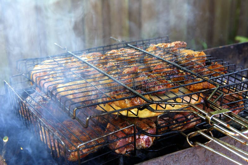 Appetizing Shish Kebab Cooked on the Coals of Fruit Trees. Stock Image ...
