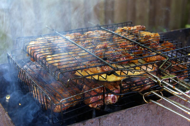 Appetizing Shish Kebab Cooked on the Coals of Fruit Trees. Stock Photo ...