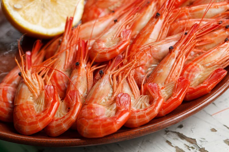 Prawn Facing Stock Photos - Free & Royalty-Free Stock Photos from ...