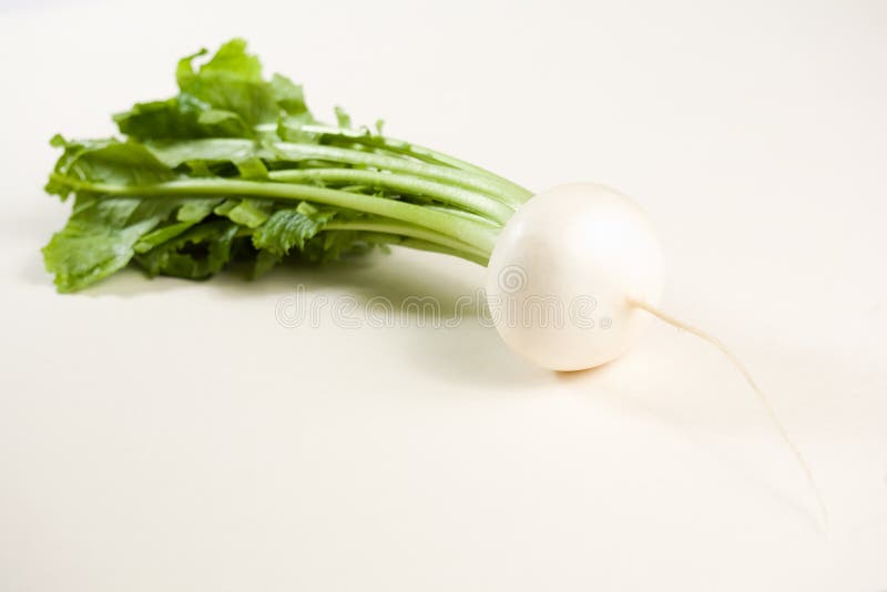 Appetizing white raddish. stock image. Image of stem - 28079435