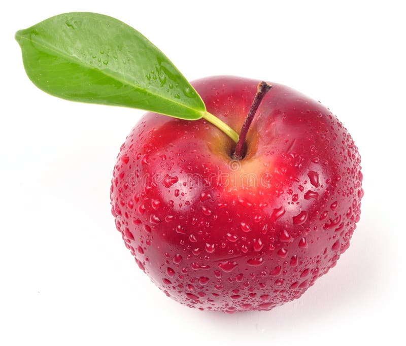 Apple stock image. Image of drop, garden, health, lifestyle - 11242443