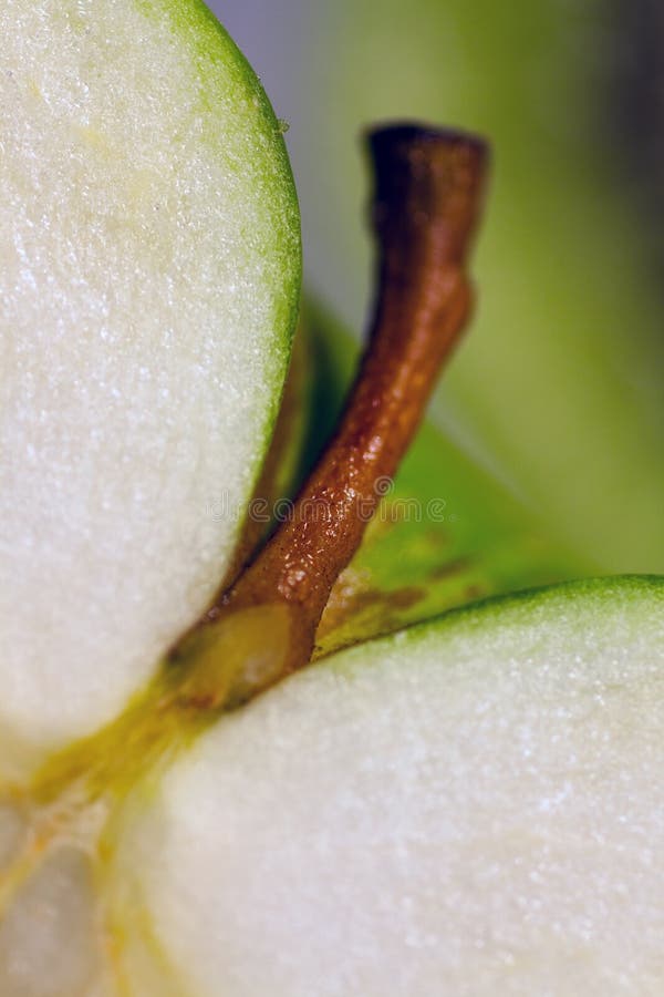Apple stock photo. Image of vegetables, colors, vitamins - 13159408