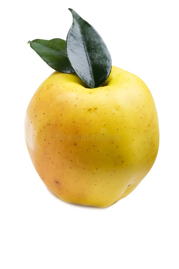 Apple stock photo. Image of freshness, natural, fresh - 15145396