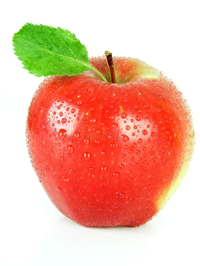 Apples stock photo. Image of diet, leaves, background, granny - 240702