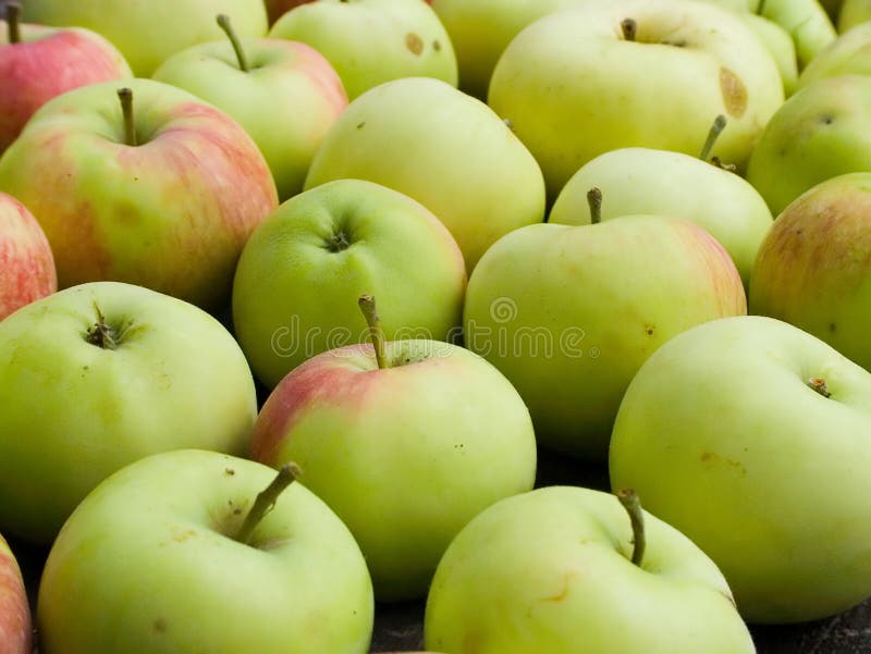 Apple stock image. Image of apple, ecology, taste, diet - 2225625