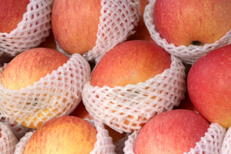 Apple stock image. Image of close, mature, food, protect - 24293823