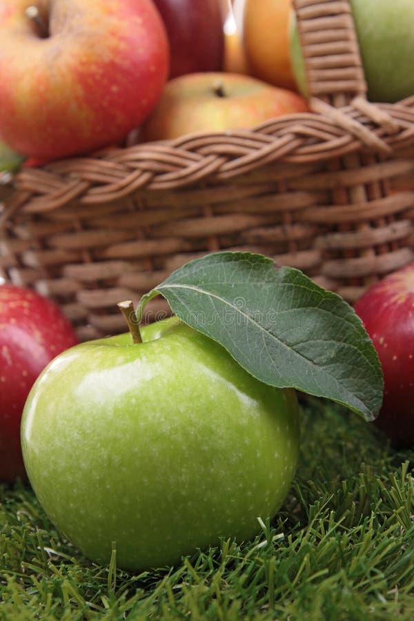 Red fresh apples stock photo. Image of crop, beverage - 22383260
