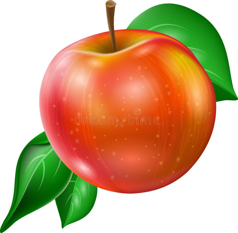 Apple ilustración del vector. Ilustración de fresco, fondo - 31422329