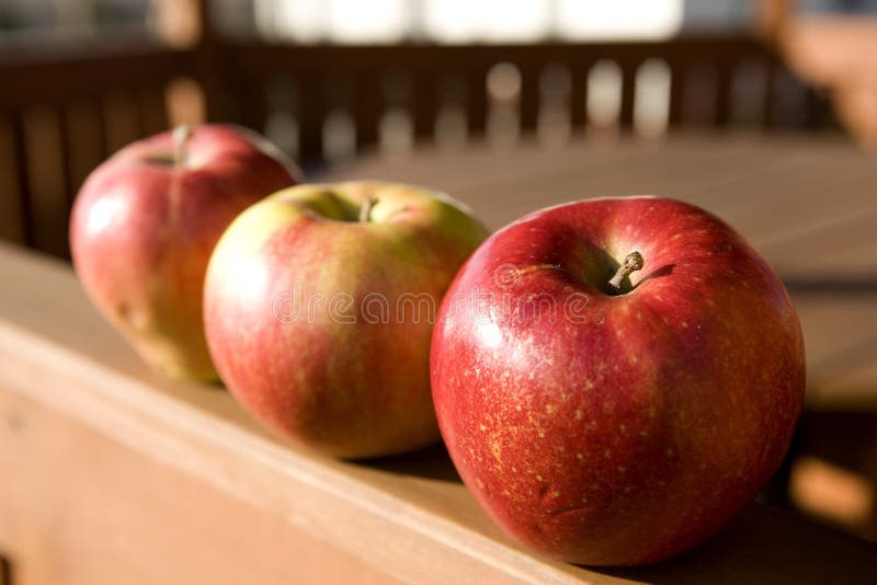 Apple stock photo. Image of fresh, three, garden, apple - 4203500