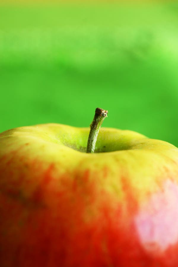 Apple stalk stock image. Image of healthy, stalk, life - 123263