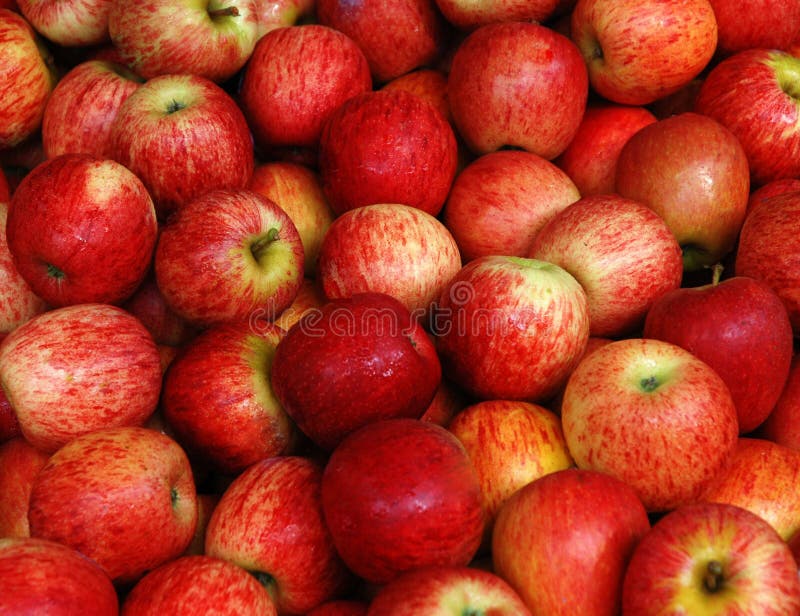 Apple stock photo. Image of object, apple, fresh, fruits - 89142