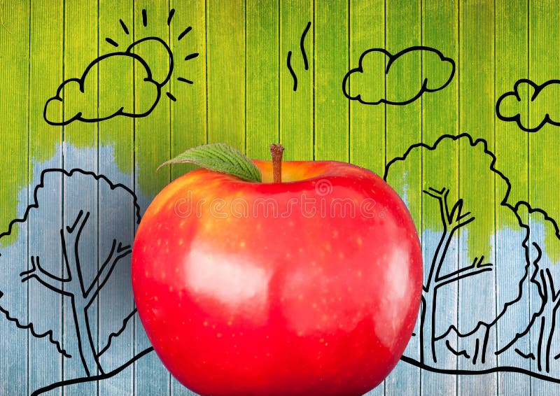 Apple Against Colourful Painted Wood with Nature Drawings Stock ...