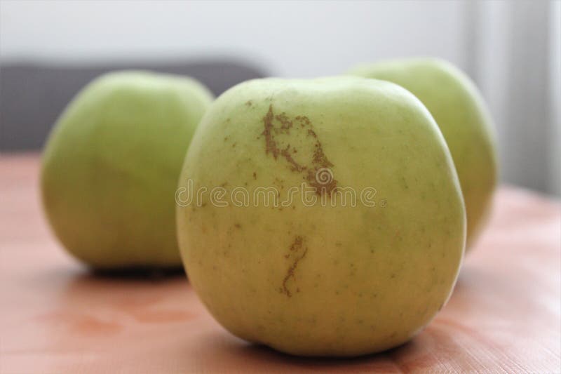 The apple stock photo. Image of plant, dish, white, orange - 279157246