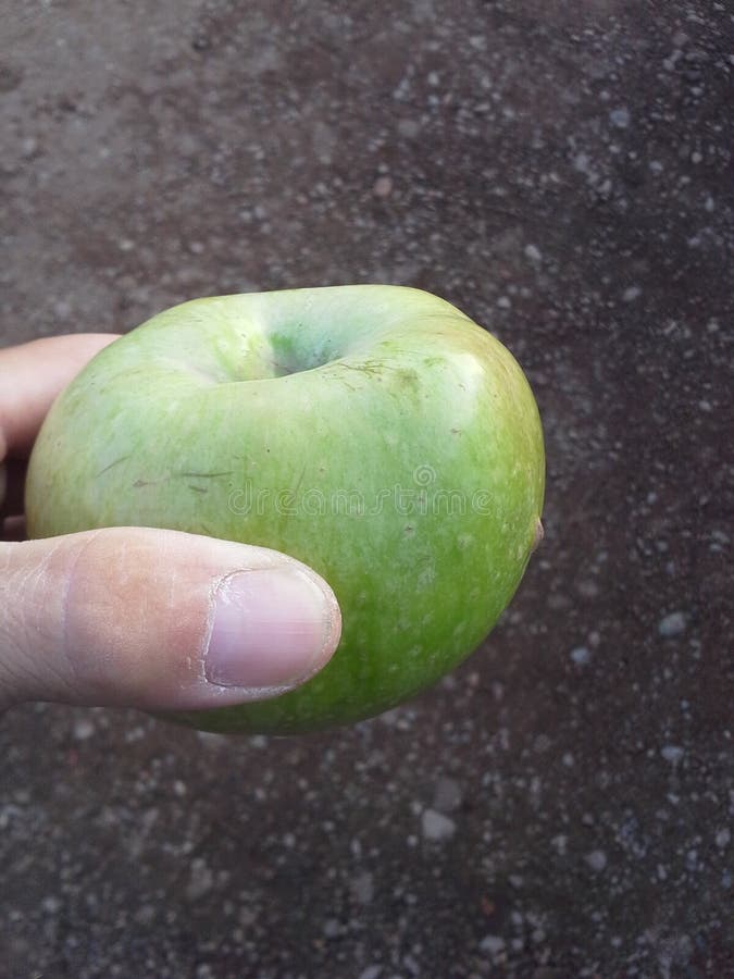 Apple as an edible fruit stock photo. Image of healthy - 298614302