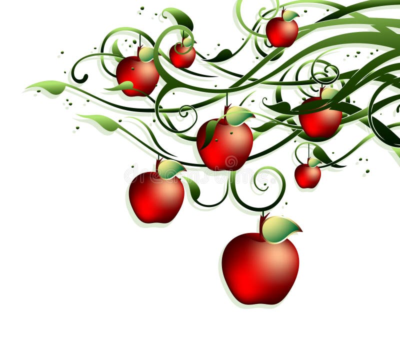 Vector Branch of Apple Tree. Apple Tree Branch Vector Illustration ...
