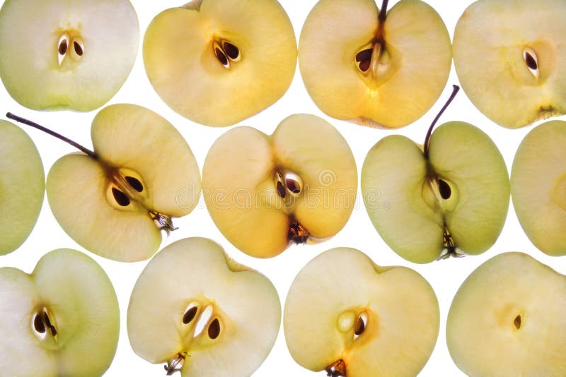 Translucent Slice of an Apple Stock Photo - Image of healthy, portion ...