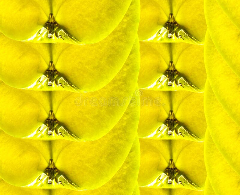 Apple Background Seamless Texture Stock Image - Image of foliage, decor ...