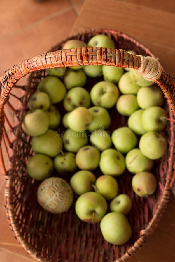 Apple basket handle stock image. Image of harvesting - 44627925