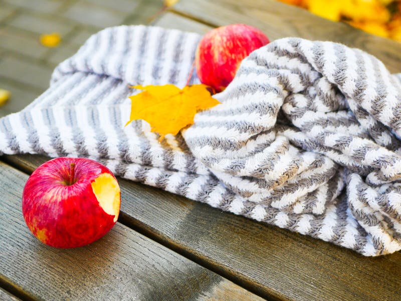 Apple on a Bench in Autumn Park Stock Image - Image of landscape ...