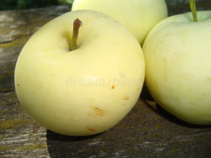 Apple on the Bench Close-up Stock Image - Image of tomato, bench: 227395007