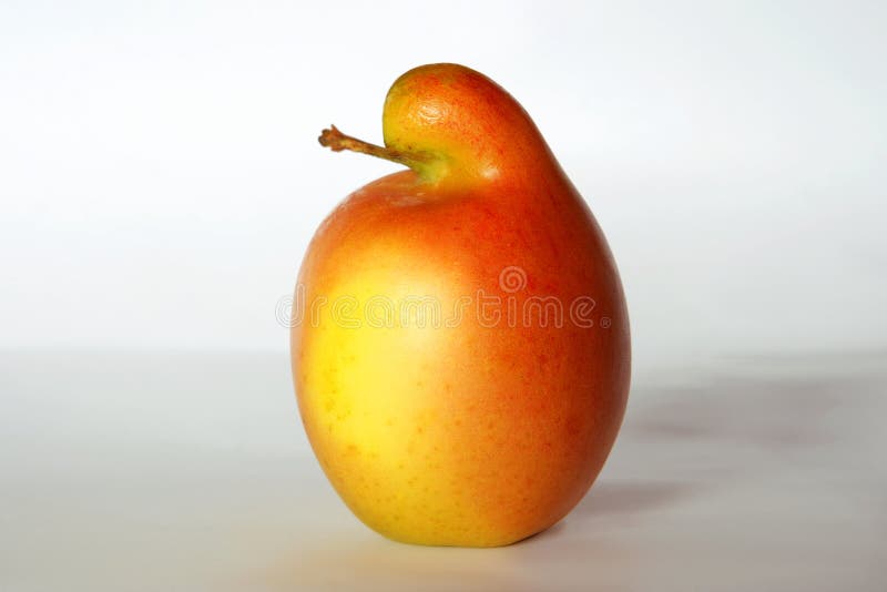 Apple-bird. stock image. Image of curious, fruits, icon - 70306433