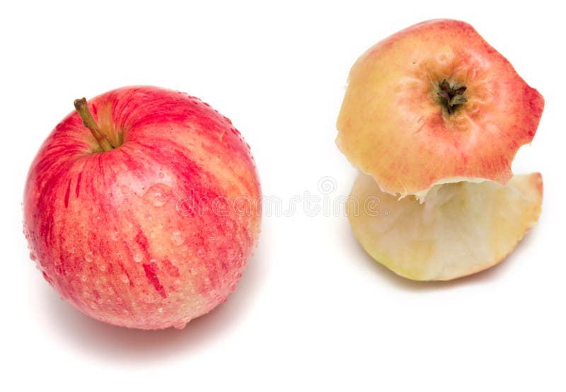 Whole apple and slices stock image. Image of fruit, meal - 5565021