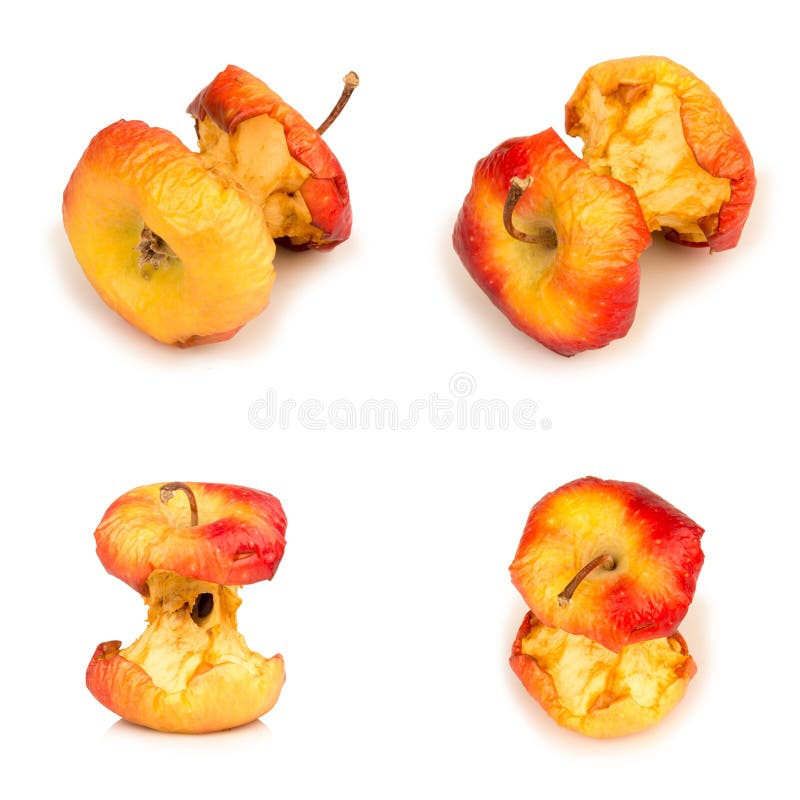 Apple Bite Dry Isolated on White Background Stock Photo - Image of pest ...
