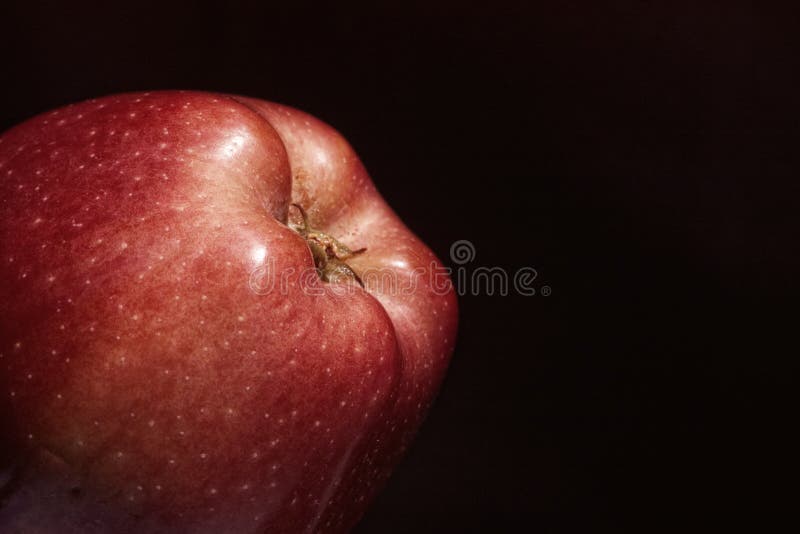 Apple on black stock photo. Image of freshness, bright - 13535446