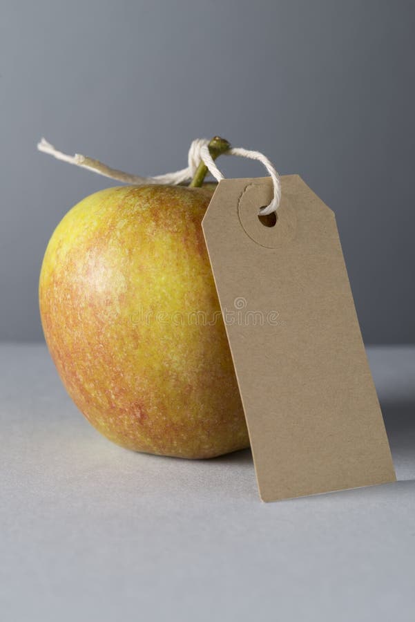 Single Red Cox Apple Grey Background Stock Photos - Free & Royalty-Free ...